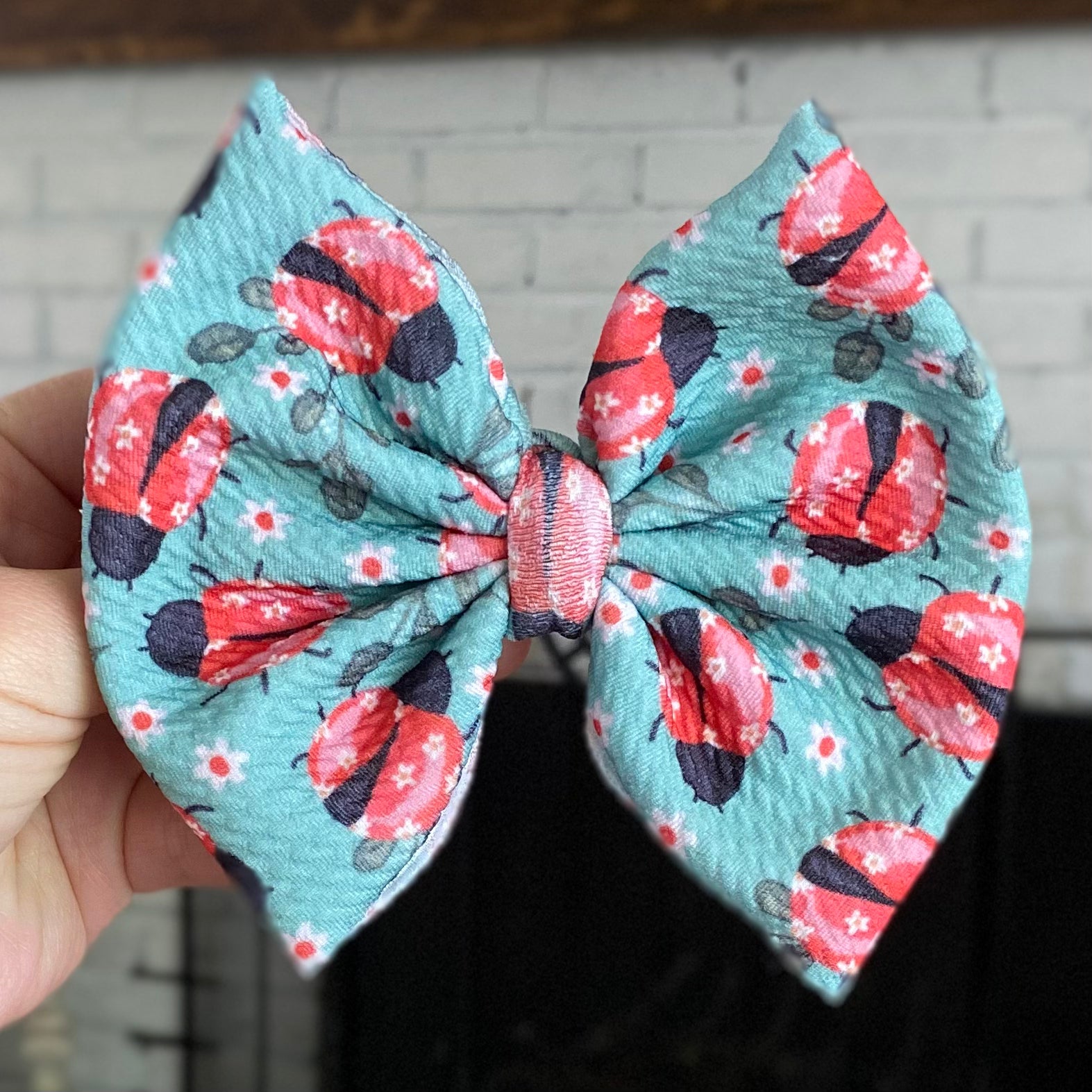Ladybug Bow – Josie's Bows
